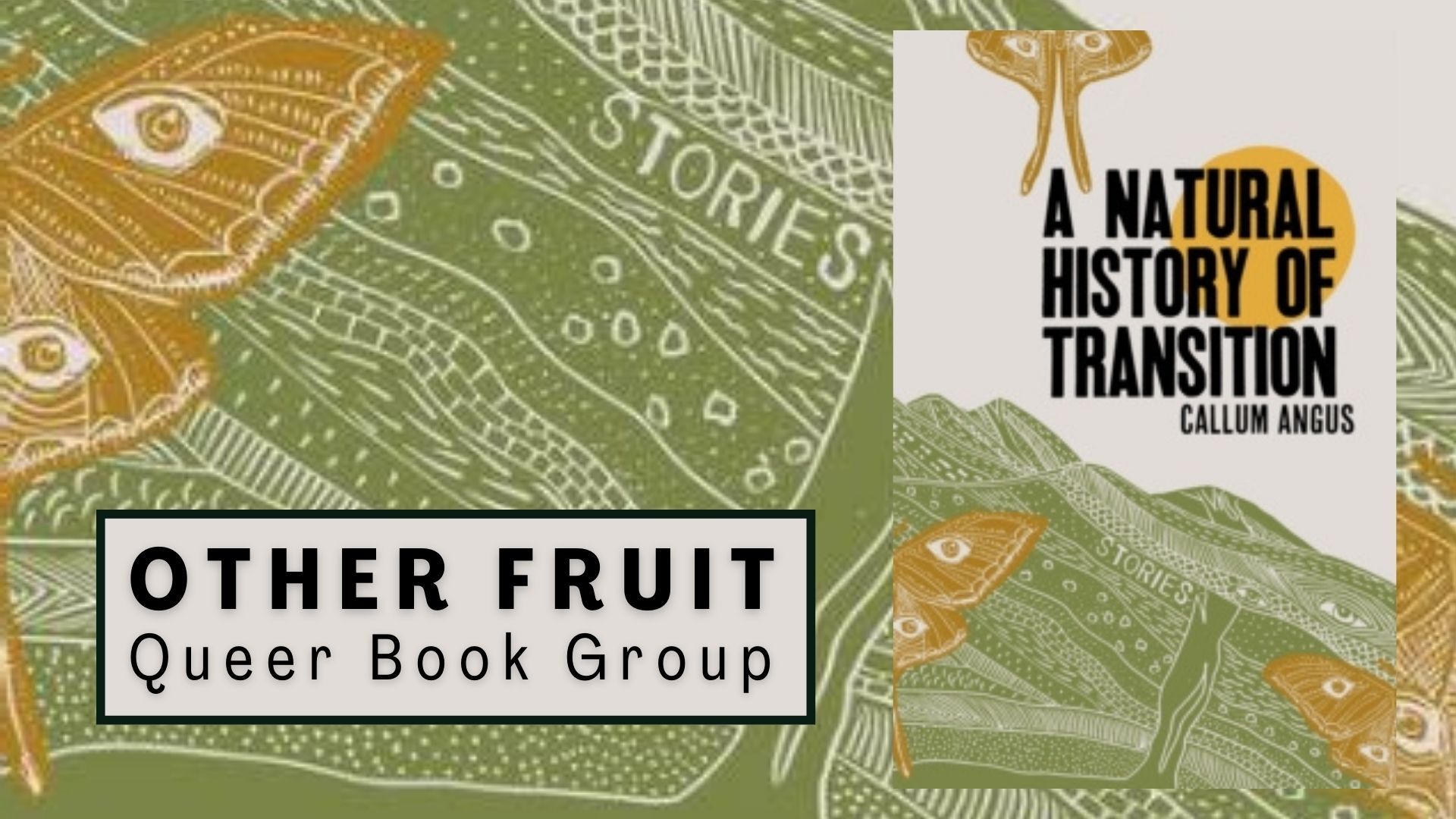 Lighthouse | Other Fruit Queer Book Group: A Natural History of Transition